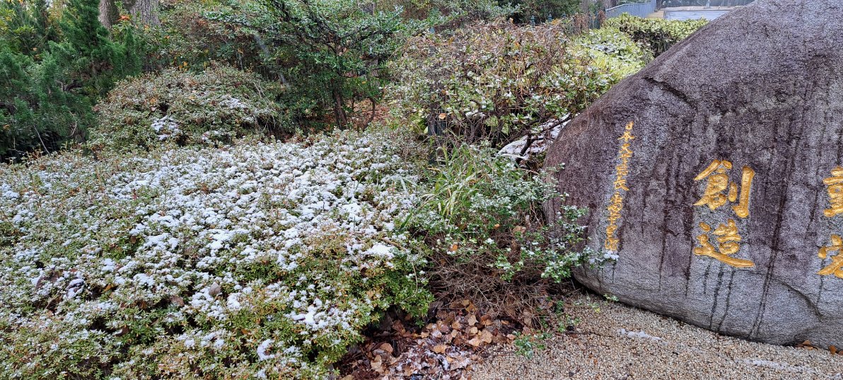 招き猫先生の『ことちか日記』R5 12／20・21 | 長崎日本大学高等学校・中学校